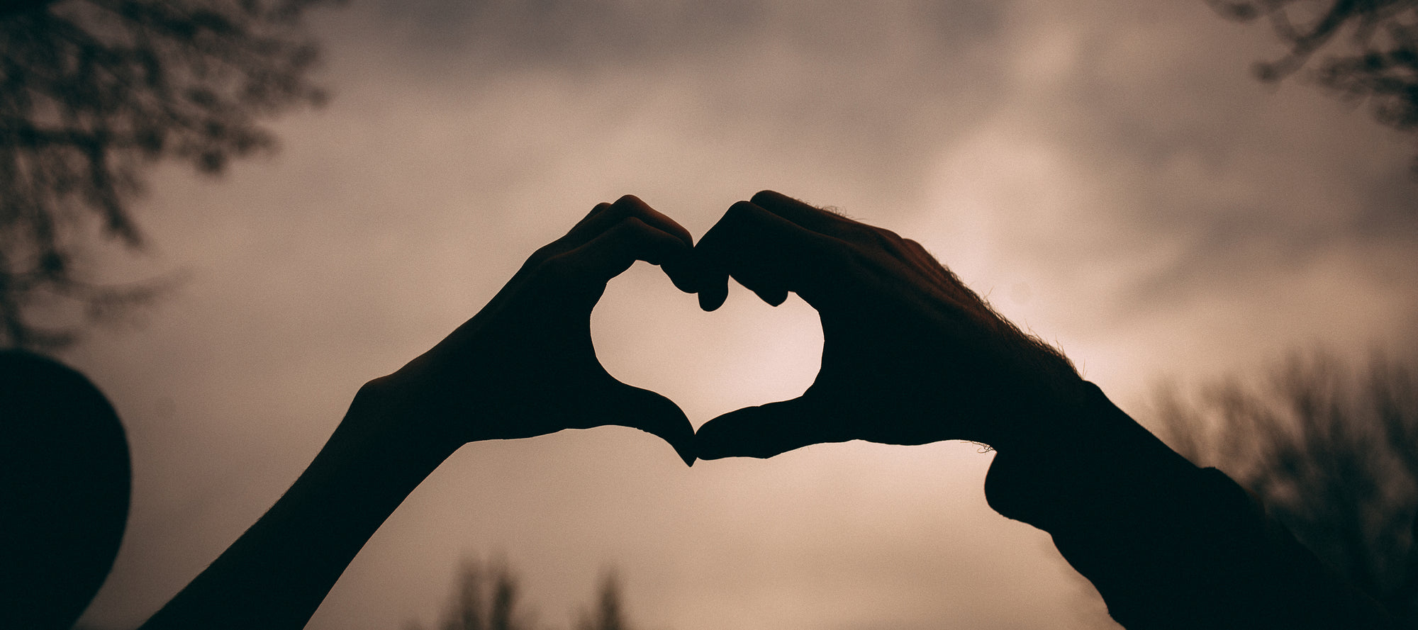 WHAT IS A WARM HUMAN - Warm Human 800-880-9138